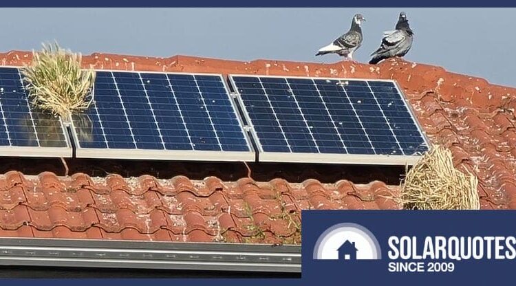 Can you add a battery to your existing solar? Here you can find out how ...